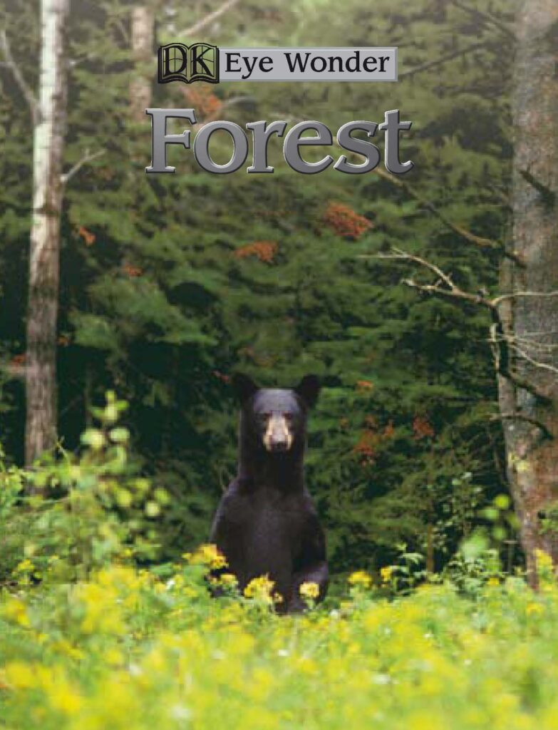 [Sách] DK Eye Wonder – Forest by DK Publishing – Sách giấy gáy xoắn - Sách Tiếng Anh Sài Gòn