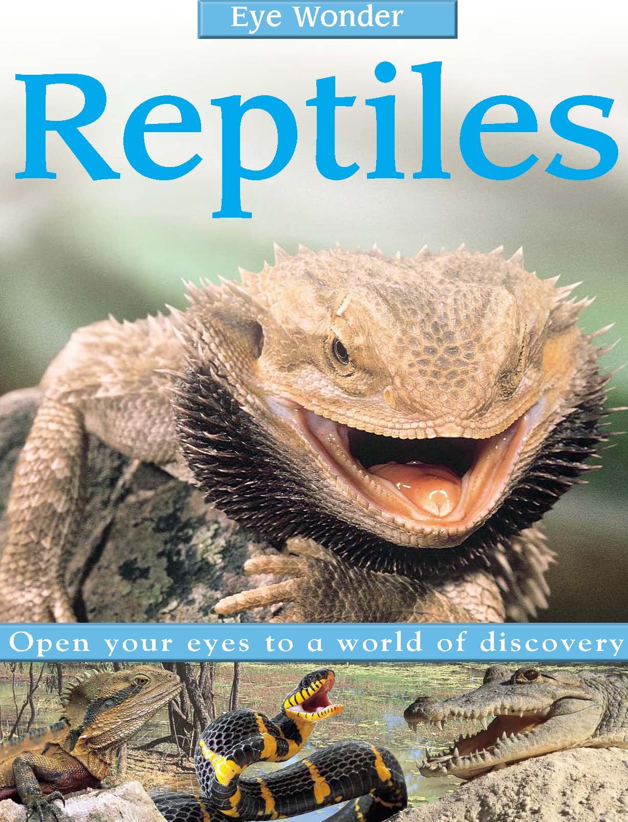 [Sách] DK Eye Wonder – Reptiles by DK Publishing – Sách giấy gáy xoắn ...