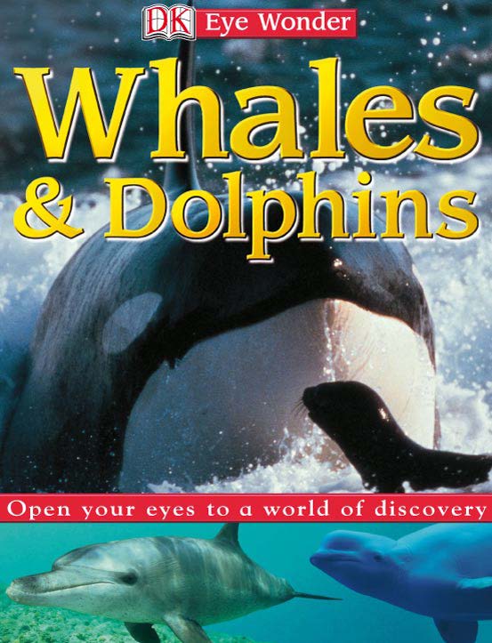 [Sách] DK Eye Wonder – Whales and Dolphins by DK Publishing – Sách giấy ...