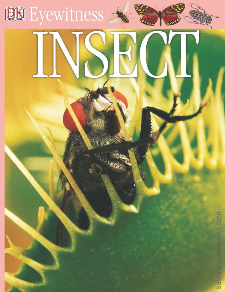 [Sách] DK Eyewitness Insect– Sách giấy gáy xoắn - Sách Tiếng Anh Sài Gòn