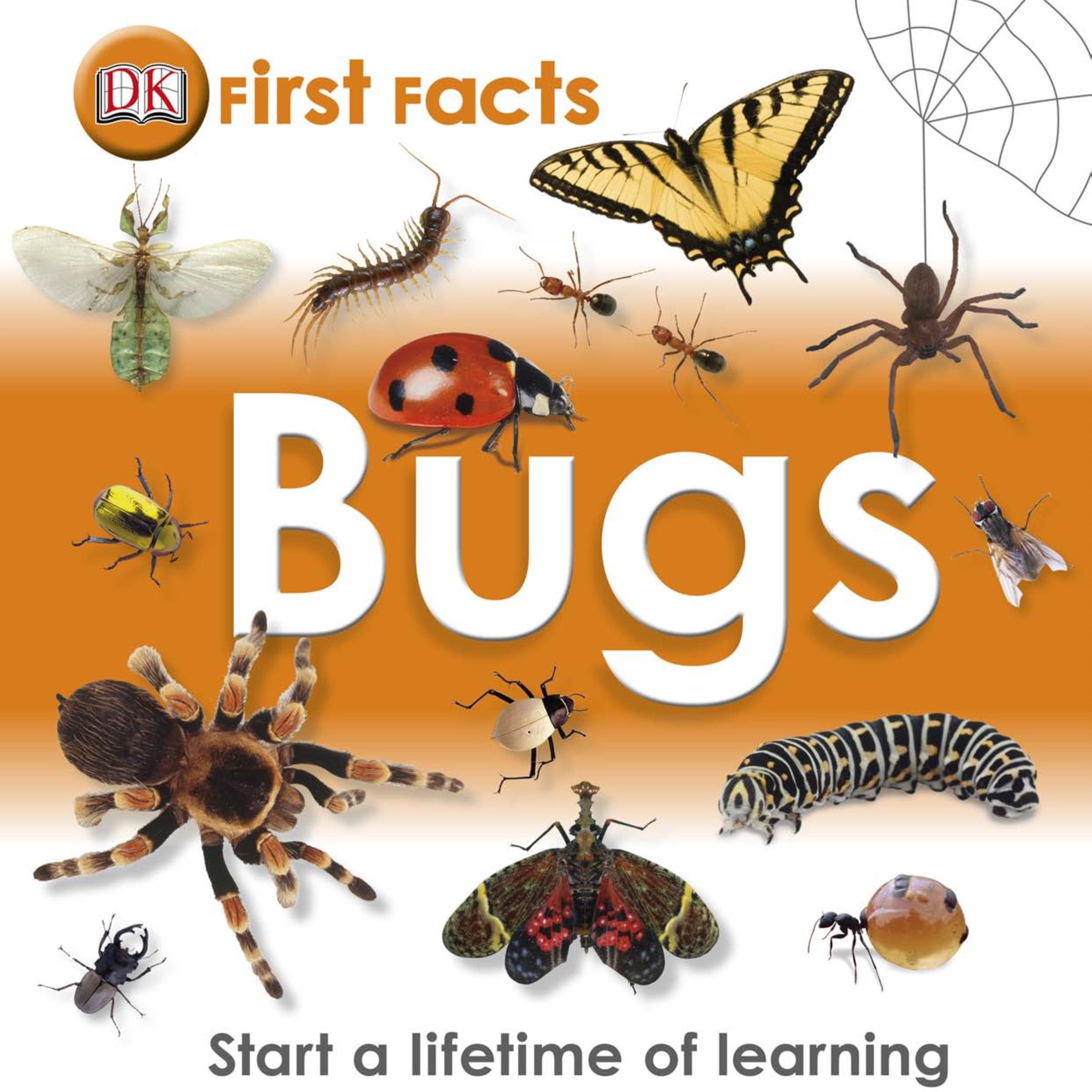 [Sách] DK First Facts Bugs – Sách giấy gáy xoắn - Sách Tiếng Anh Sài Gòn