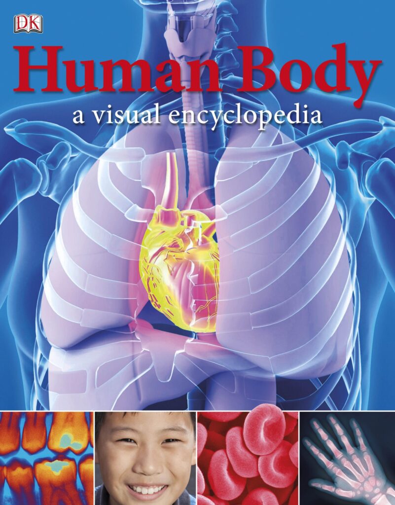 [Sách] Human Body A Visual Encyclopedia by Richard Walker, John ...