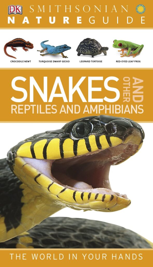 [Sách] Nature Guide Snakes and Other Reptiles and Amphibians by DK ...