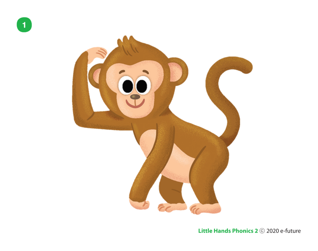 [THẺ FLASHCARD] Little Hands 2 PHONICS – 26 thẻ in 2 mặt cỡ A4 có ép ...