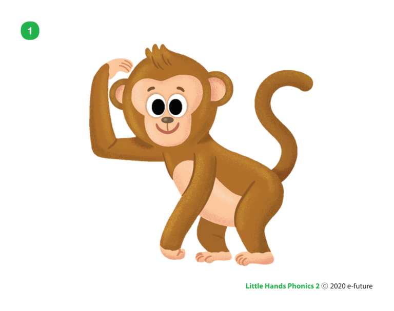 [THẺ FLASHCARD] Little Hands 2 PHONICS – 26 thẻ in 2 mặt cỡ A4 có ép ...