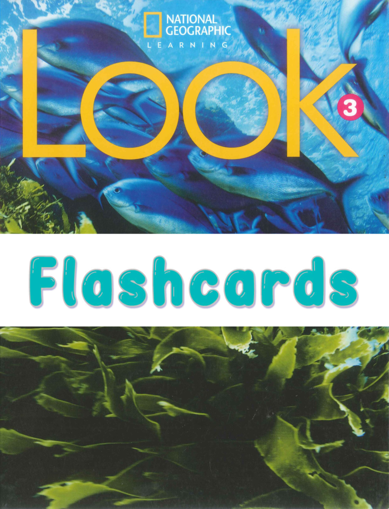 [THẺ FLASHCARD] Look 3 (American English) – 221 thẻ ép plastic - Sách ...