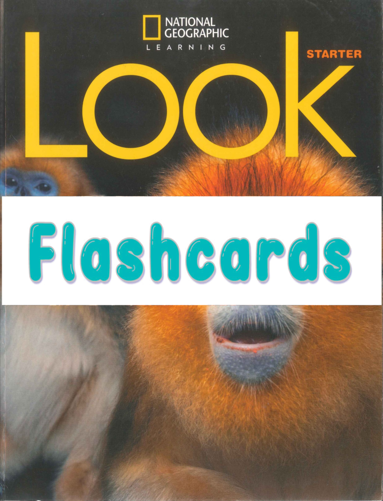 [THẺ FLASHCARD] Look Starter (American English) – 127 thẻ ép plastic ...